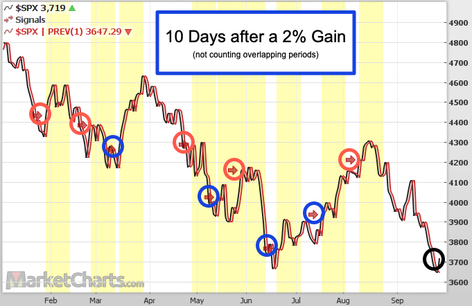 Two Weeks after +2% Gains in 2022 - CappThesis