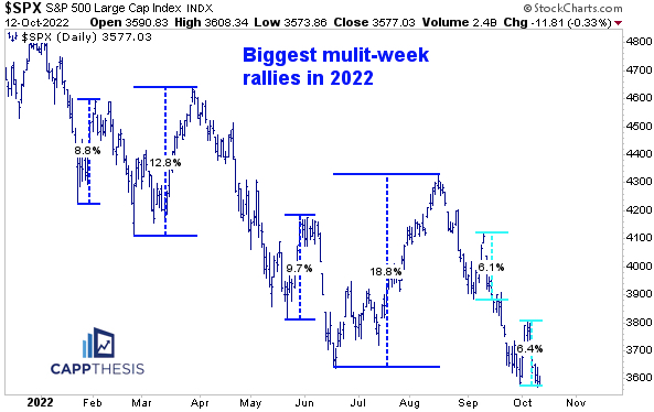 The Reaction - CappThesis