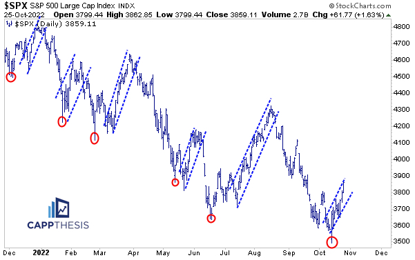 The Next Step - CappThesis