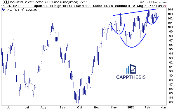 Bears’ Next Step - CappThesis