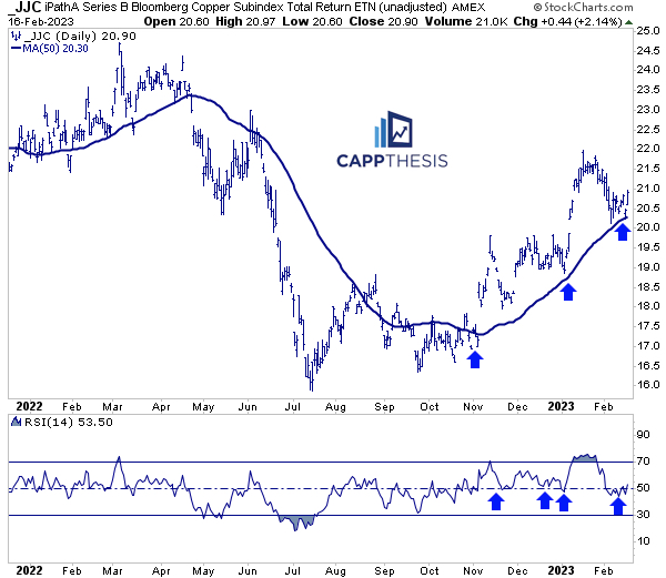 Bears’ Next Step - CappThesis