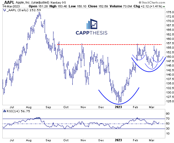 Snapback - CappThesis