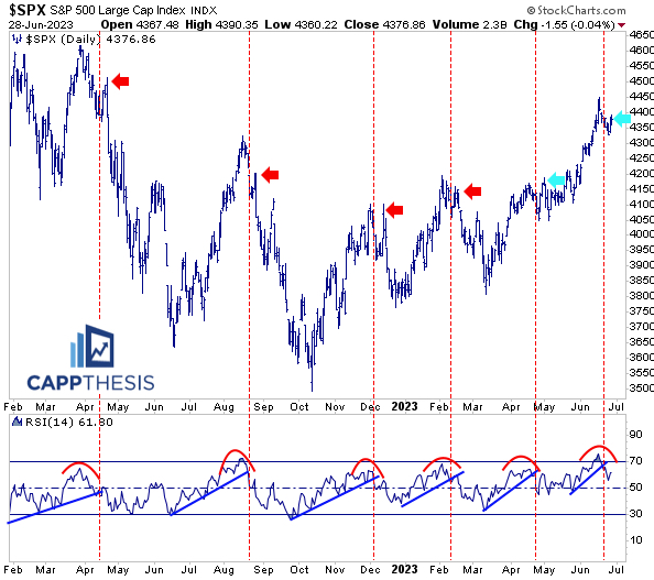 Indicator Check-Up - CappThesis