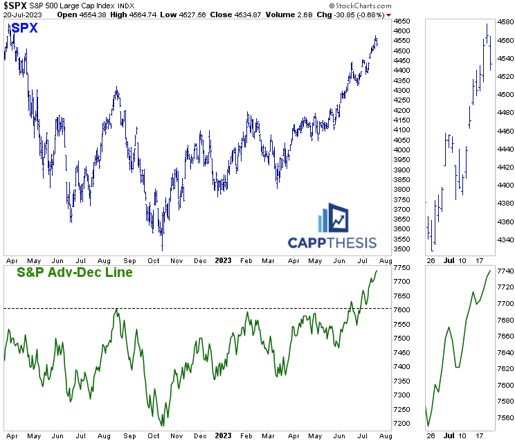 The Response - CappThesis