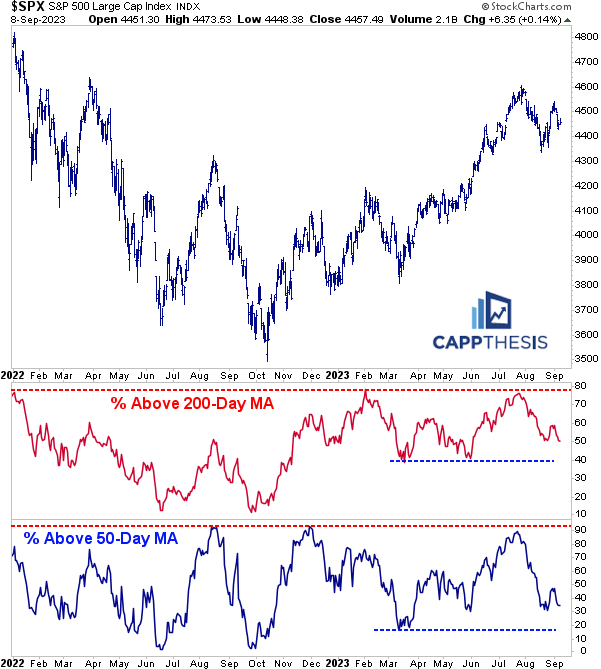 Never Forget - CappThesis