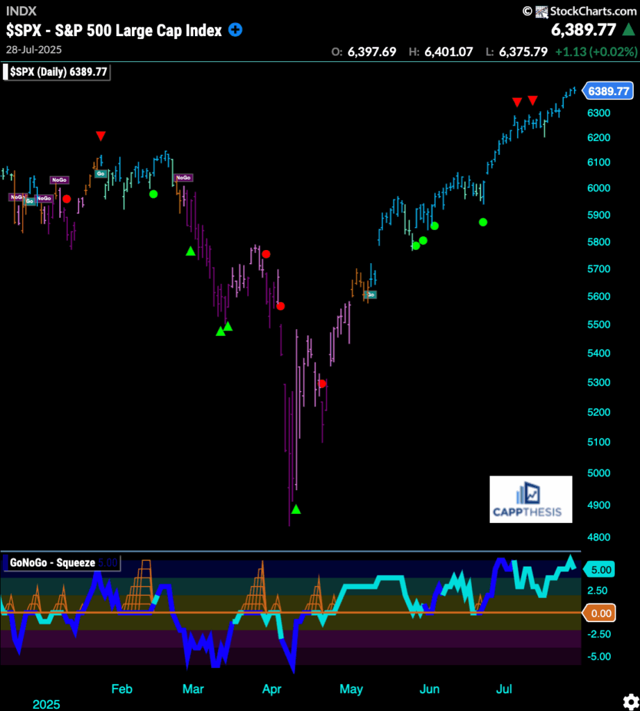 Six Tiny Steps - CappThesis