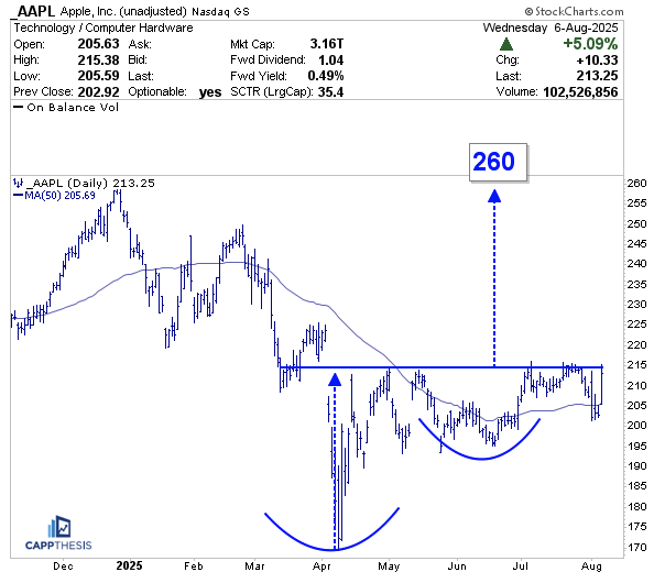 Indicator Checkup & AAPL - CappThesis
