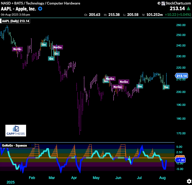 Indicator Checkup & AAPL - CappThesis